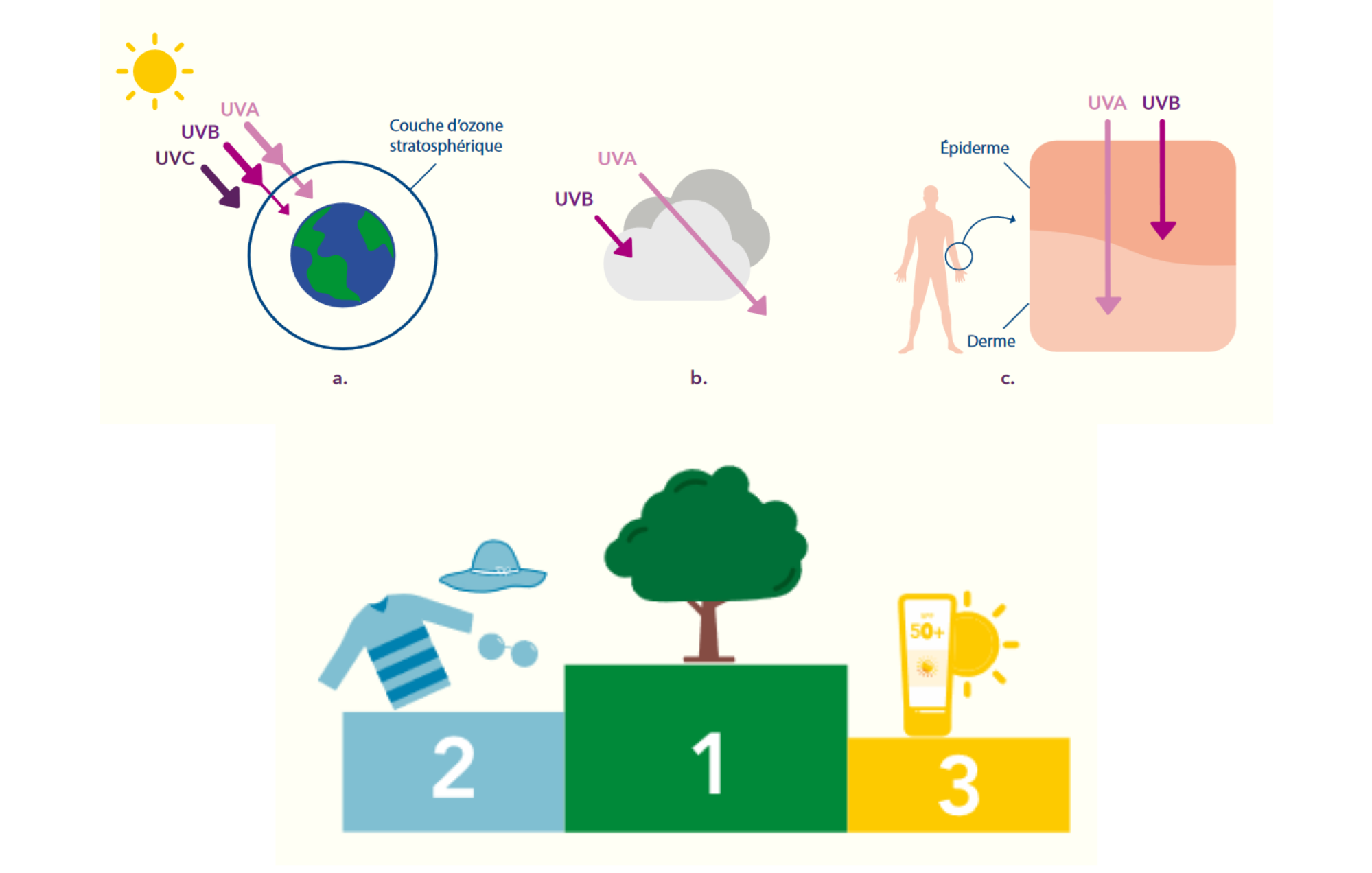 L’INCa met à jour sa fiche repère sur les UV